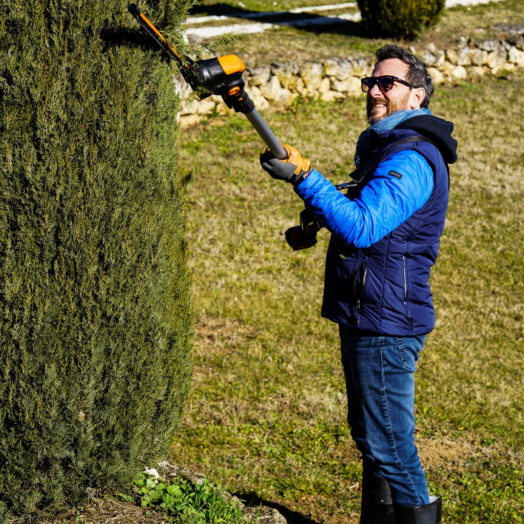 Worx 20v Pole Hedge Trimmer Powershare Tool Only Wg252e 9 Worx