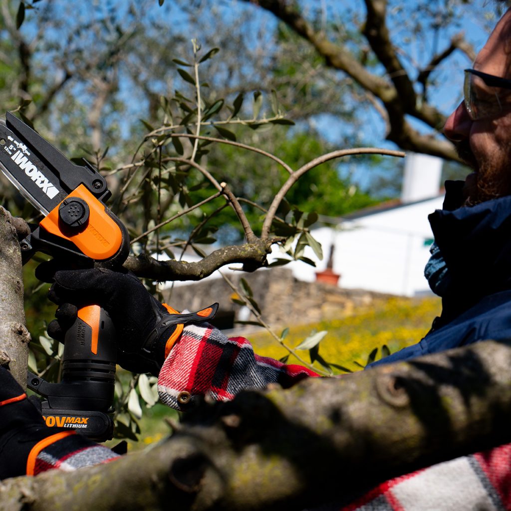 WORX 20V 12cm One hand Pruning Chainsaw | POWERSHARE Tool Only | WG324E ...