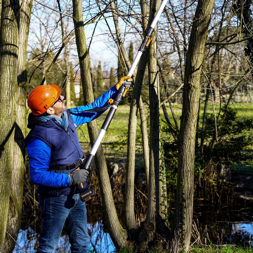 WORX 20V Pole Pruning Chainsaw | POWERSHARE Tool Only | WG349E.9 - WORX ...