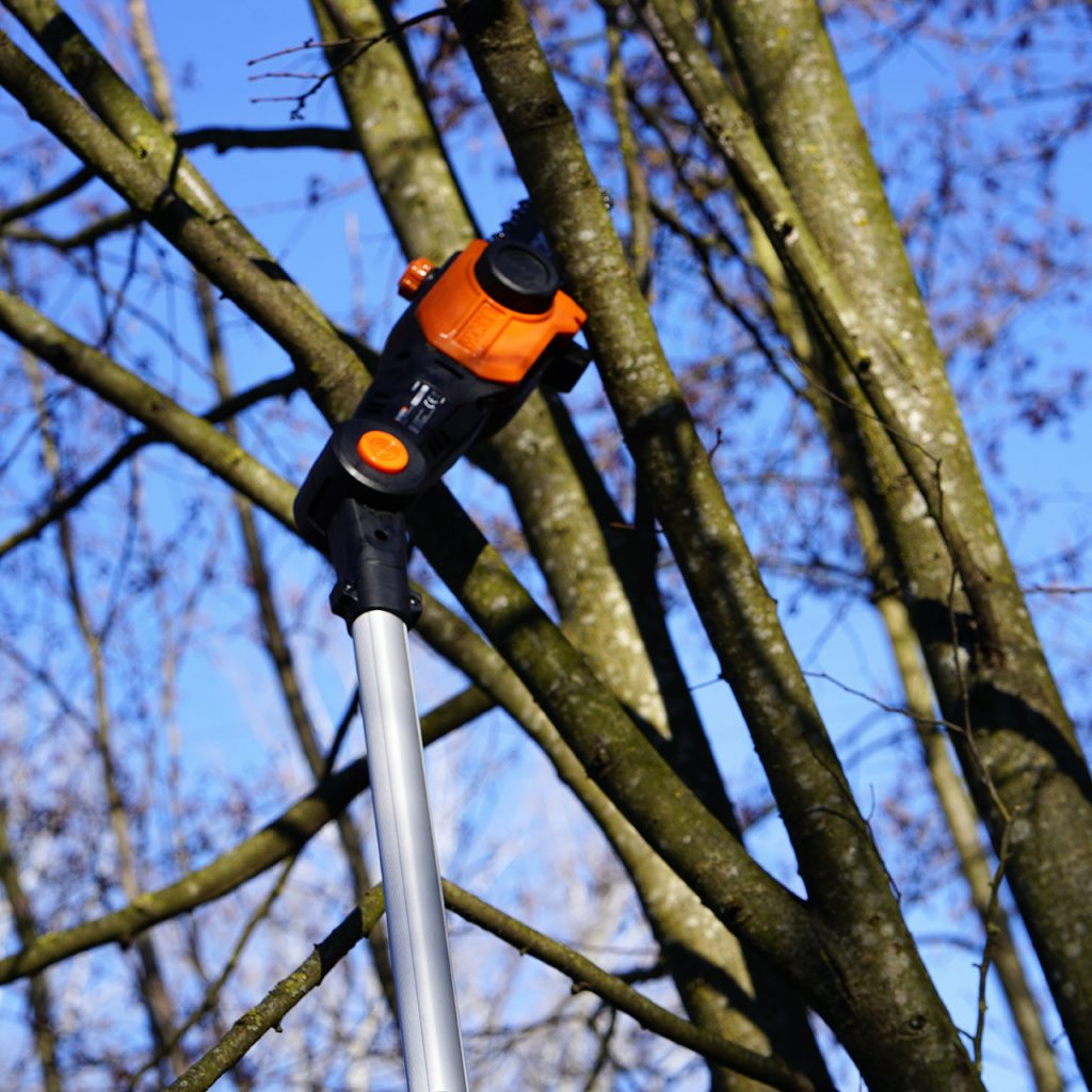 WORX 20V Pole Pruning Chainsaw | POWERSHARE Tool Only | WG349E.9 - WORX ...