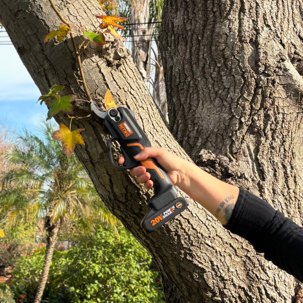 WORX 20V NITRO 25mm Pruning Shears - Brushless | 2Ah POWERSHARE Kit | WG330E - WORX Australia