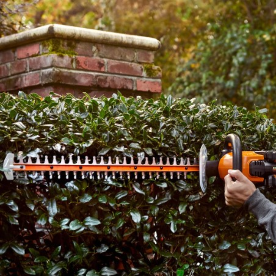 Hedge Trimming 101: How to Get Your Shrubs Spring-Ready - WORX Australia
